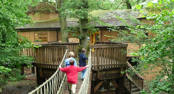 Treehouses & Farm - Treehouses - Wellbeing and Education