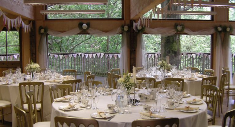 Treehouses & Farm - Treehouses - Treehouse Weddings