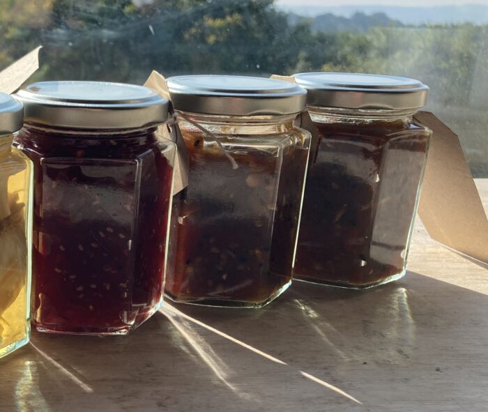 Countryside Workshop: Jam Making